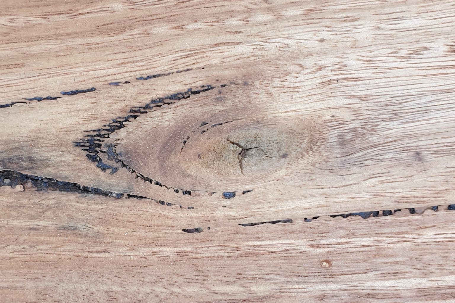 What grade timber does Mortlock Timber Supply? All the details.