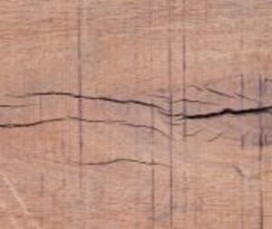 What is Tangential Shrinkage in Wood? | Mortlock Timber