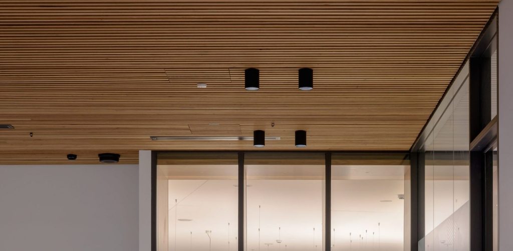 Premium Blackbutt Timber Battens & Cladding