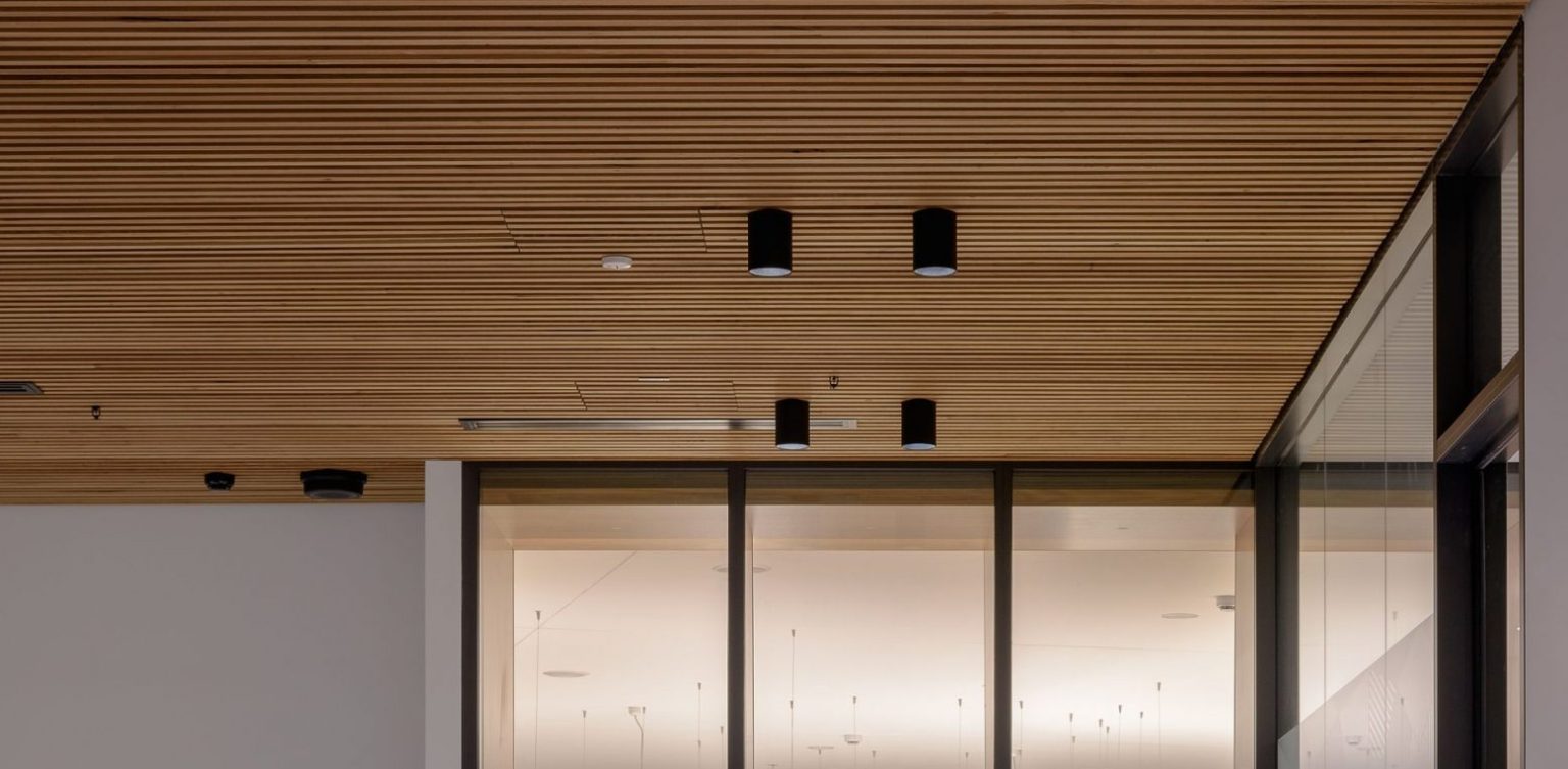 Premium Blackbutt Timber Battens & Cladding