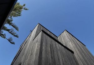 Timber Feature Walls | Premium Timber Wall Panels | Mortlock Timber