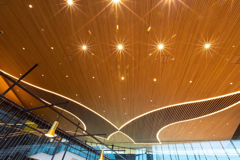 Tasmanian Oak | Mortlock Timber