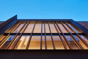 Tasmanian Oak | Mortlock Timber