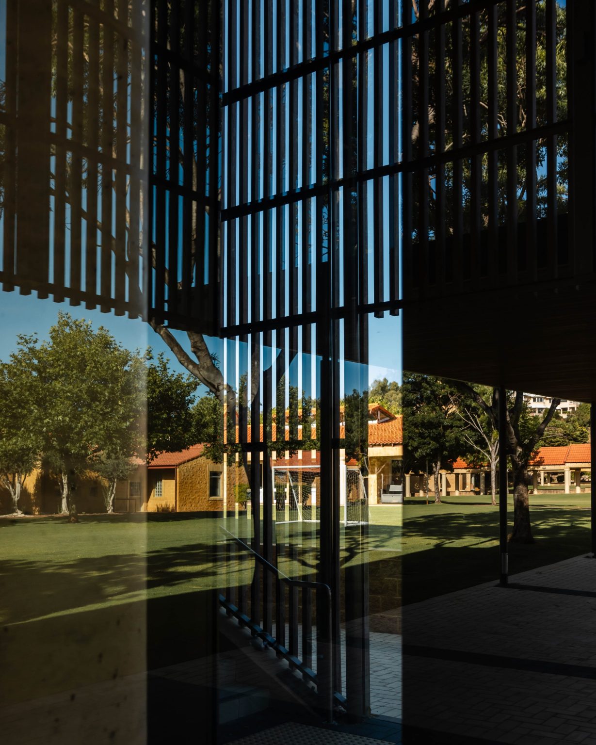 John XXIII | Trendplank-Proplank | Spotted gum timber