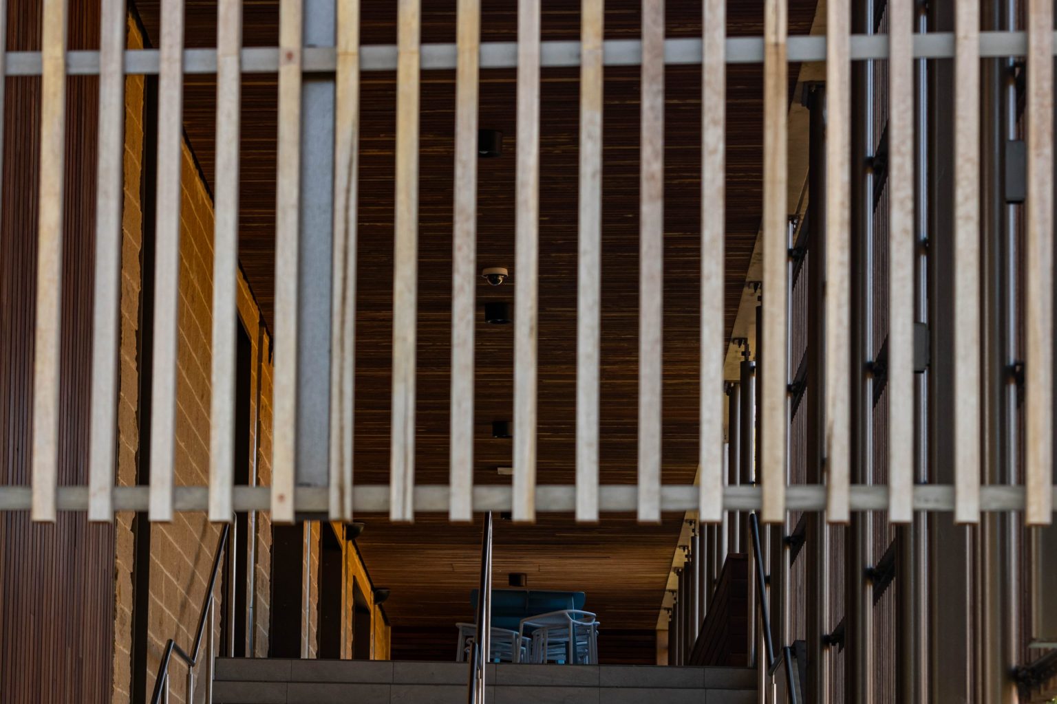 John XXIII | Trendplank-Proplank | Spotted gum timber