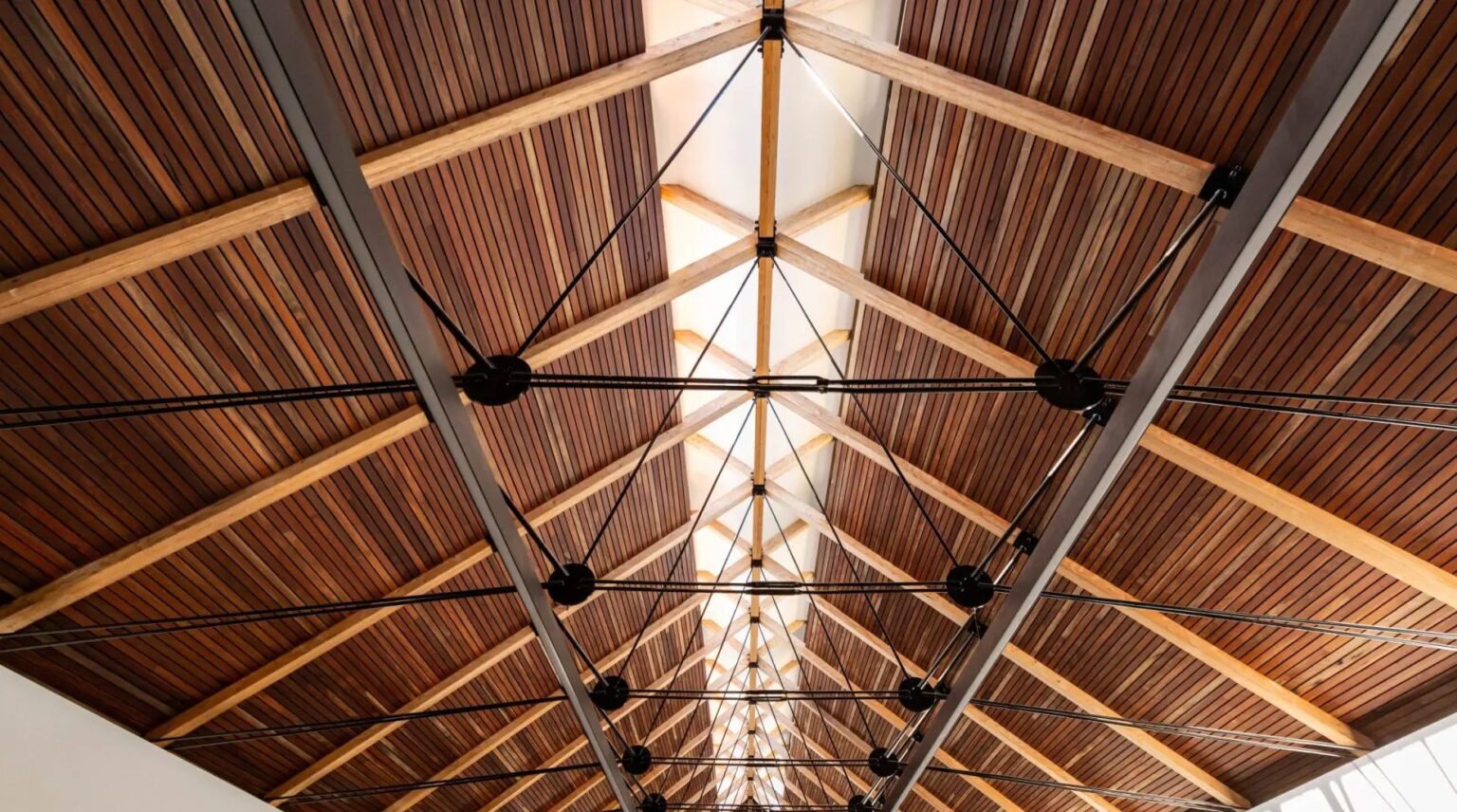 Understanding the Carbon Footprint of Timber | Mortlock Timber