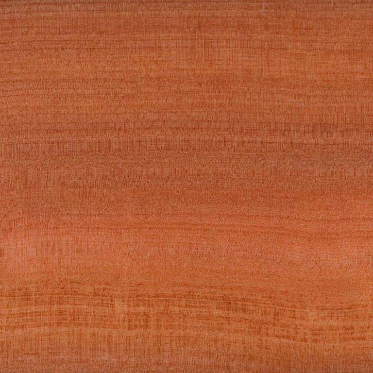 Hydrowood Myrtle| Mortlock Timber